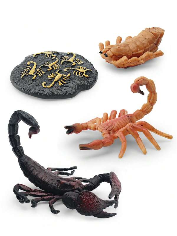 Educational Soft Rubber Simulation Model Of Black Scorpion Lifecycle ...