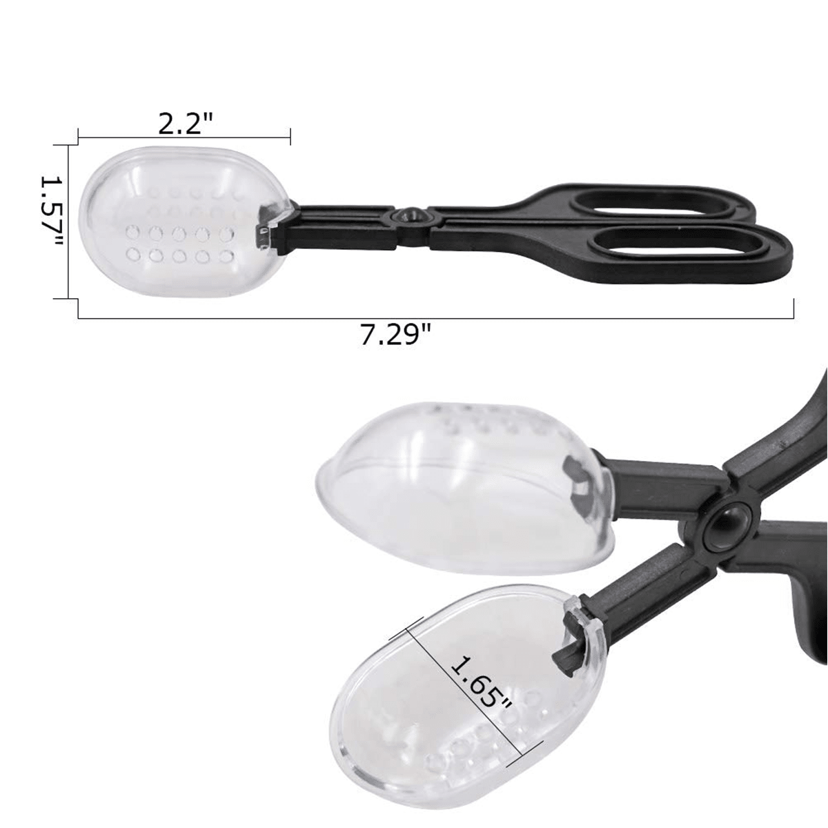 1pc Bamboo Stick & Clamp Insect Breeding Kit For Mealworms | SHEIN UK