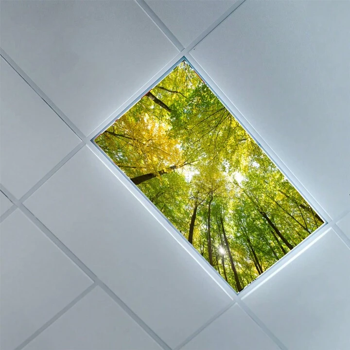 Suspended Ceiling Light Diffuser Panels | Shelly Lighting