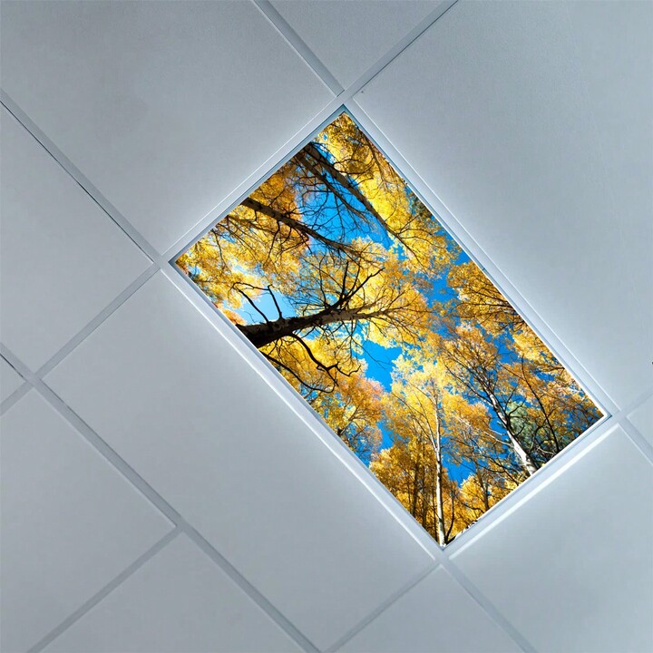 Fluorescent Light Diffuser Panels Decorative | Shelly Lighting