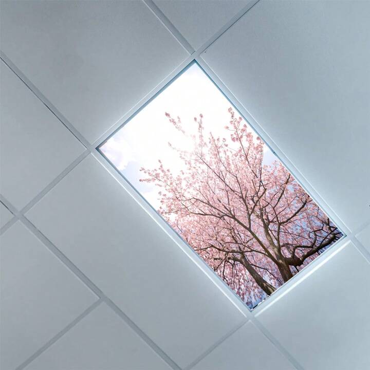 Fluorescent Light Plastic Diffuser | Shelly Lighting