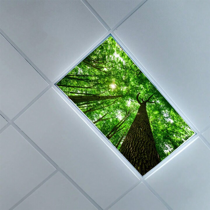 Fluorescent Light Diffuser Panels Uk | Shelly Lighting