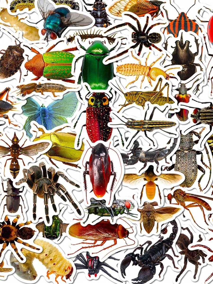 50 Sheets Realistic Insect Mixed Sticker, Spider & Lizard Lifelike ...