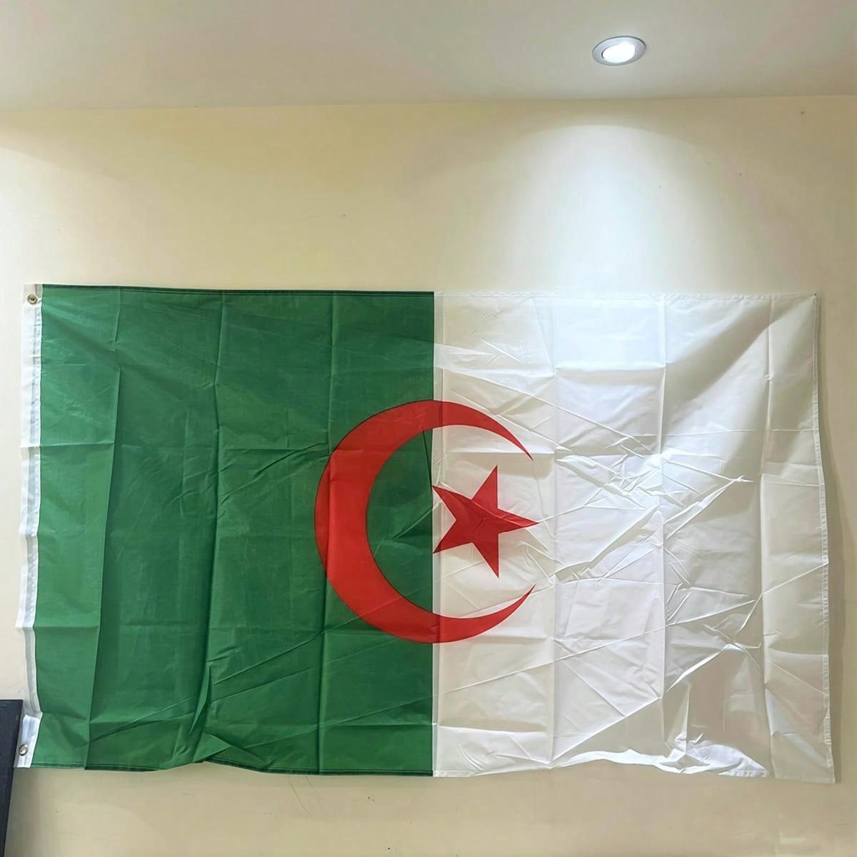 ALG Algeria Flag 3x5FT 90X150cm Hanging Polyester Vivid Color and UV ...