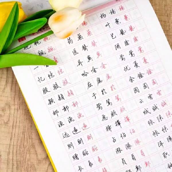 Chinese Pen Calligraphy Copybook 7000 Common Chinese Characters ...
