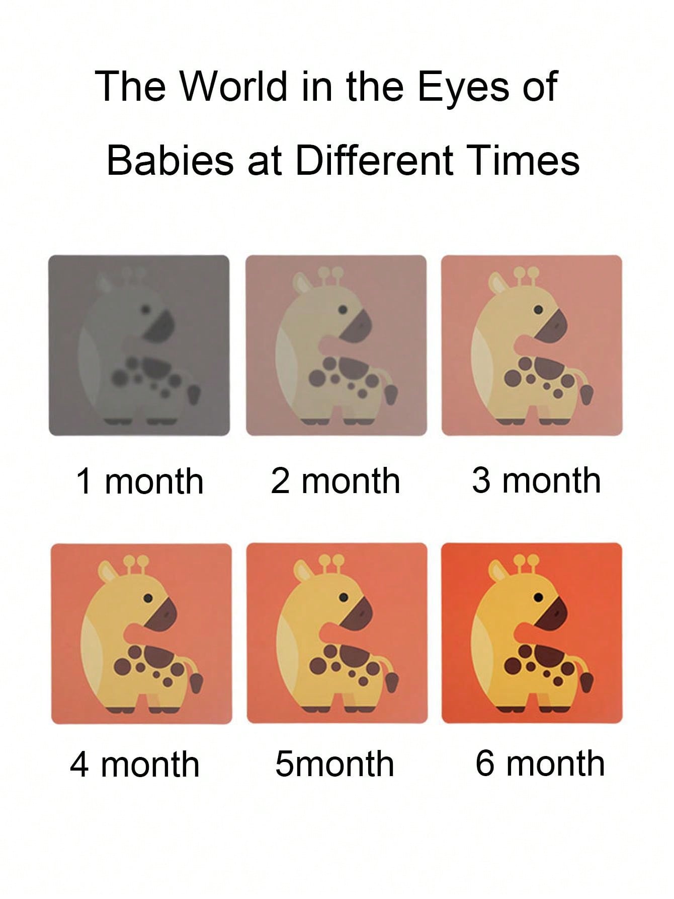 4-level Visual Aid Card For Real-life Object Recognition, Suitable For ...