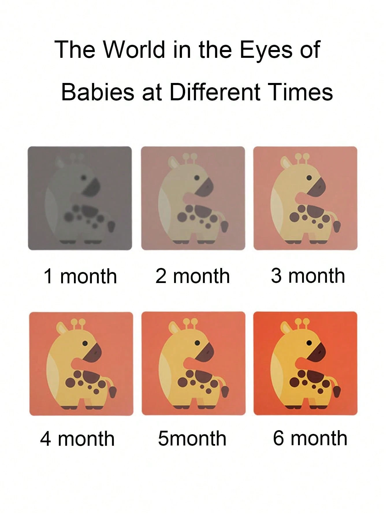 4-level Visual Aid Card For Real-life Object Recognition, Suitable For ...