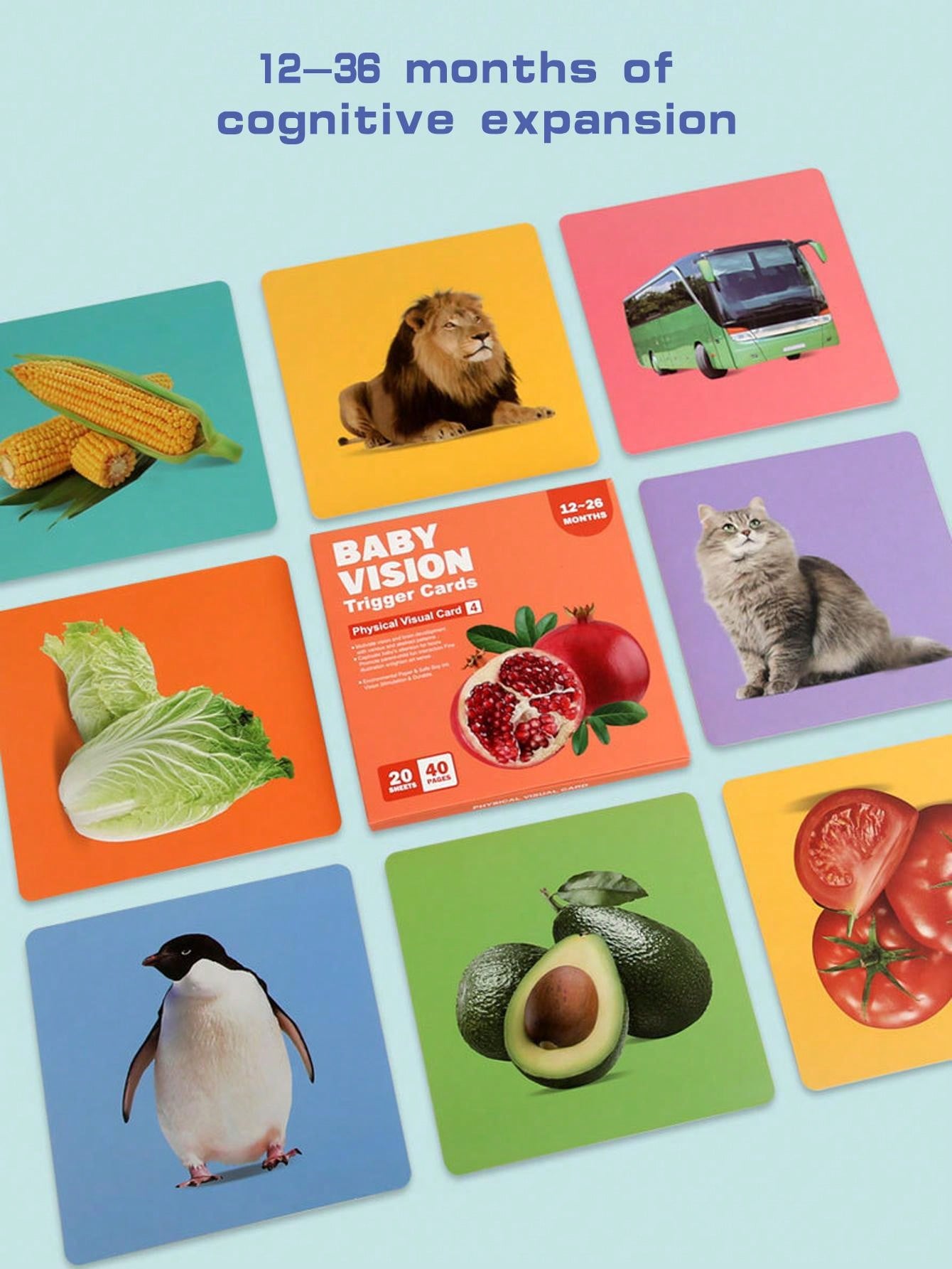 4-level Visual Aid Card For Real-life Object Recognition, Suitable For ...