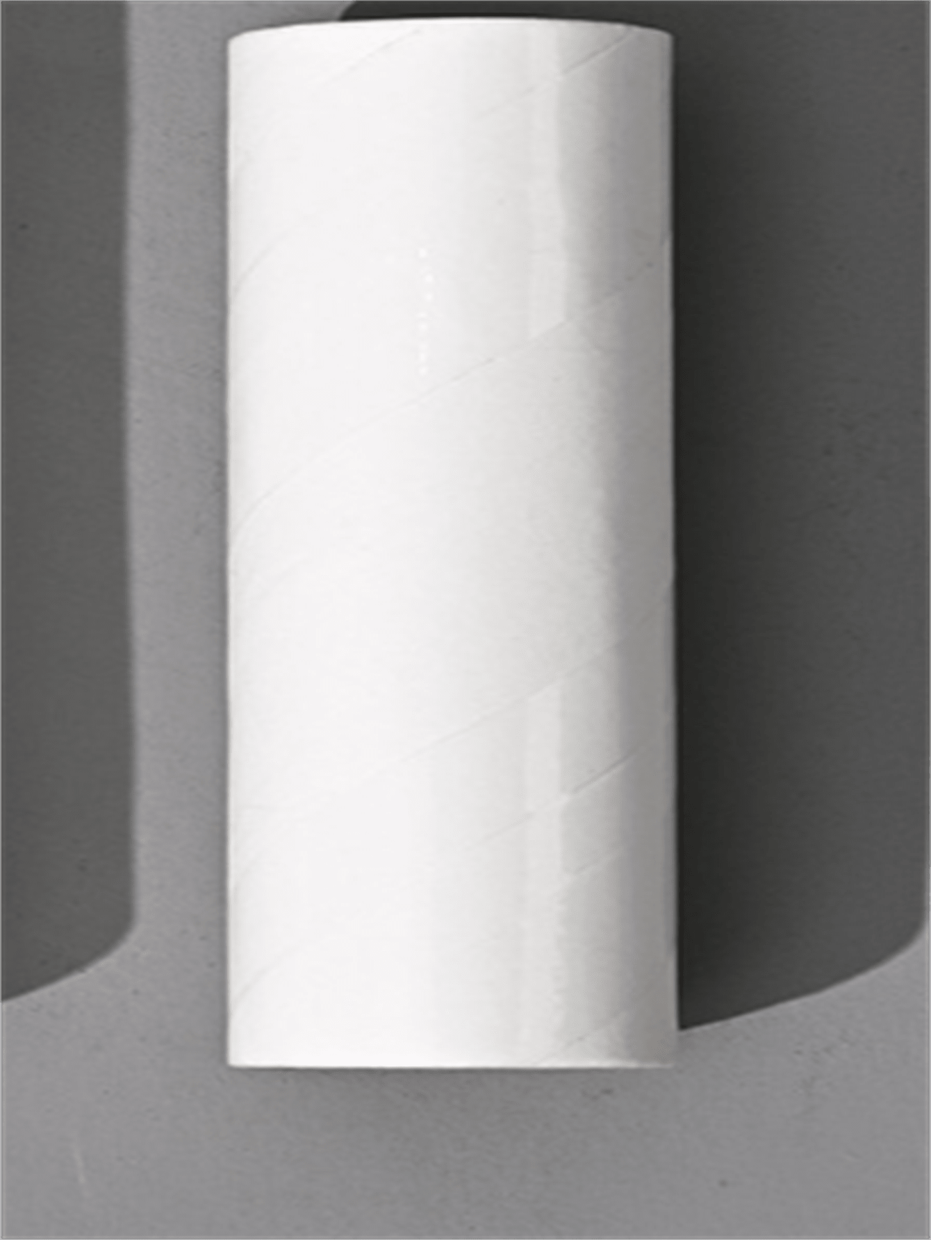 1roll 10cm Replacement Tissue Core (40 Sheets) | SHEIN USA