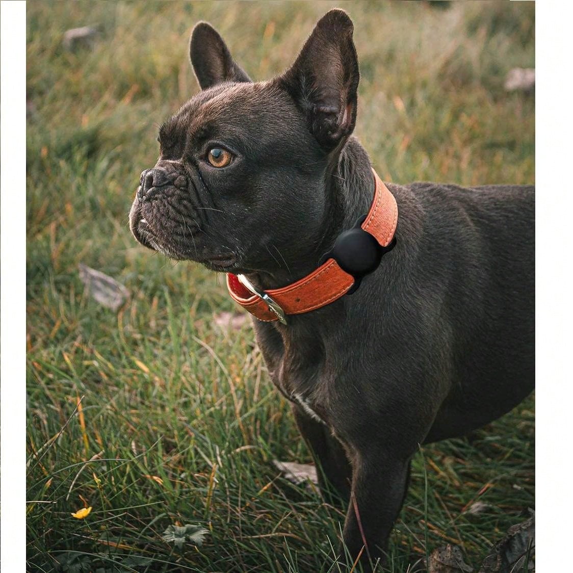 Support De Collier Airtag Pour Chien, 2 Pièces, Pour Apple Airtag ...