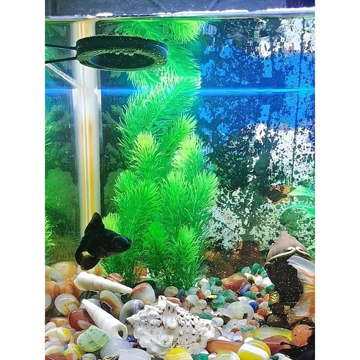 1pc Green Plastic Fish Tank Landscape Plant, Mini Pet Beautification ...