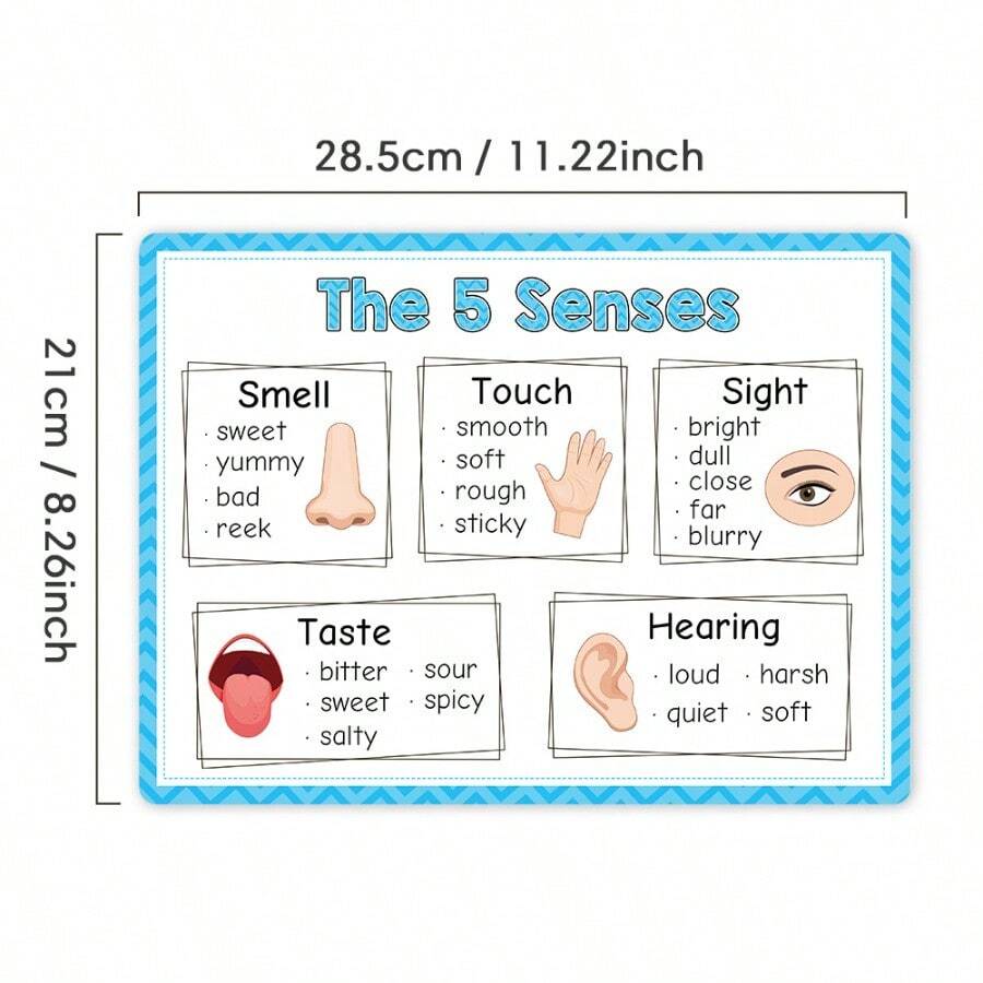 3 PCS English My Body and 5 Senses Poster kids Learning English Words ...