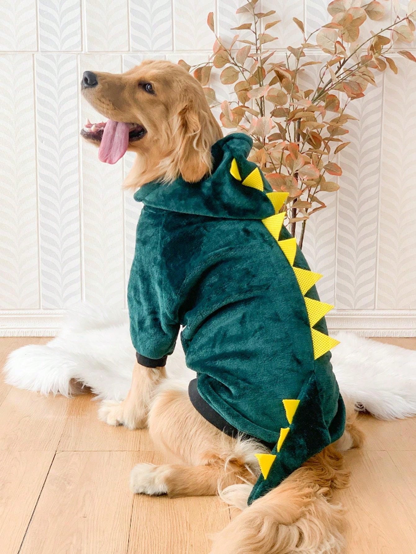 Moletom com capuz Design de dinossauros | SHEIN Brasil