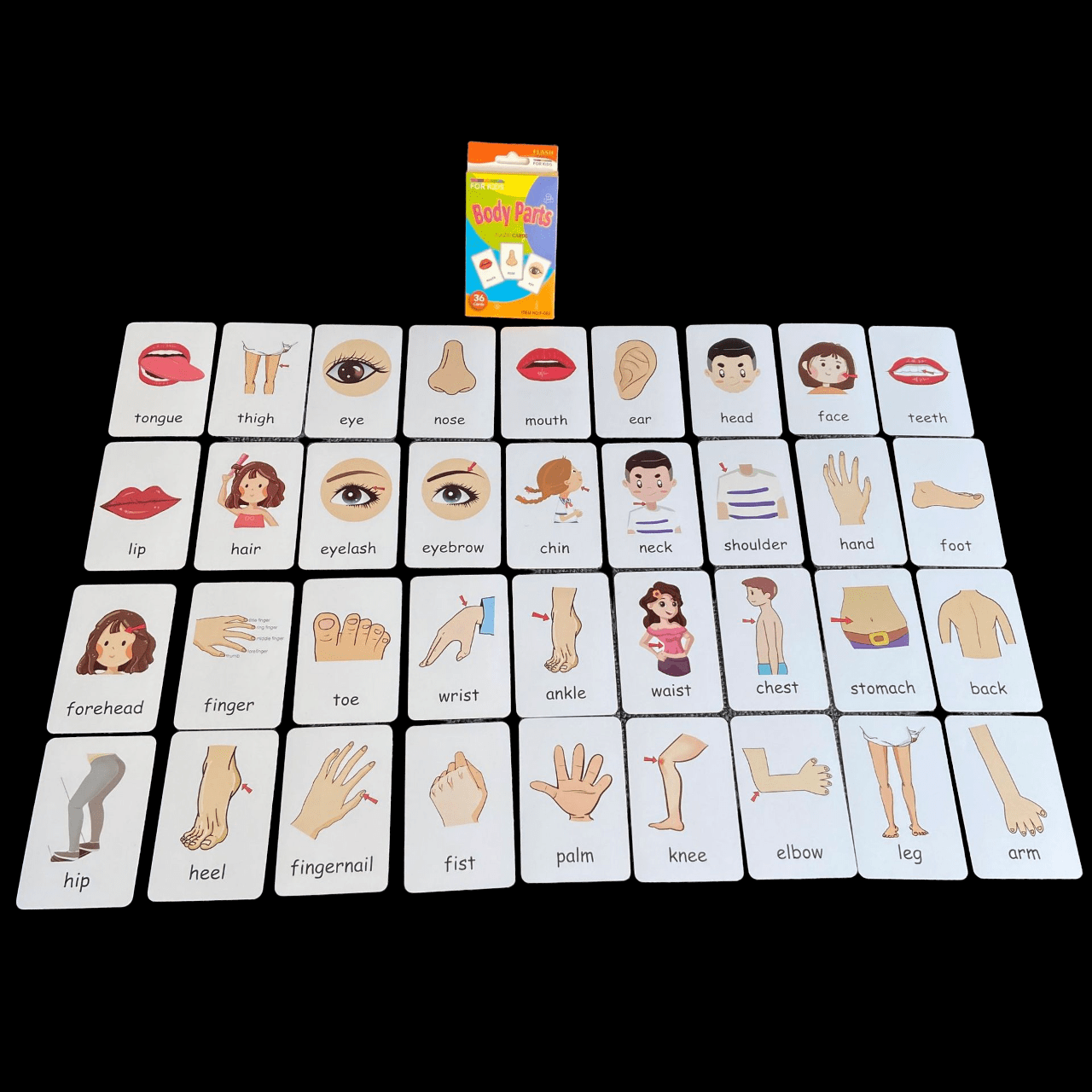 1pc Boxed Set Of 36 Flashcards - Body Parts Recognition Cards | SHEIN EUR