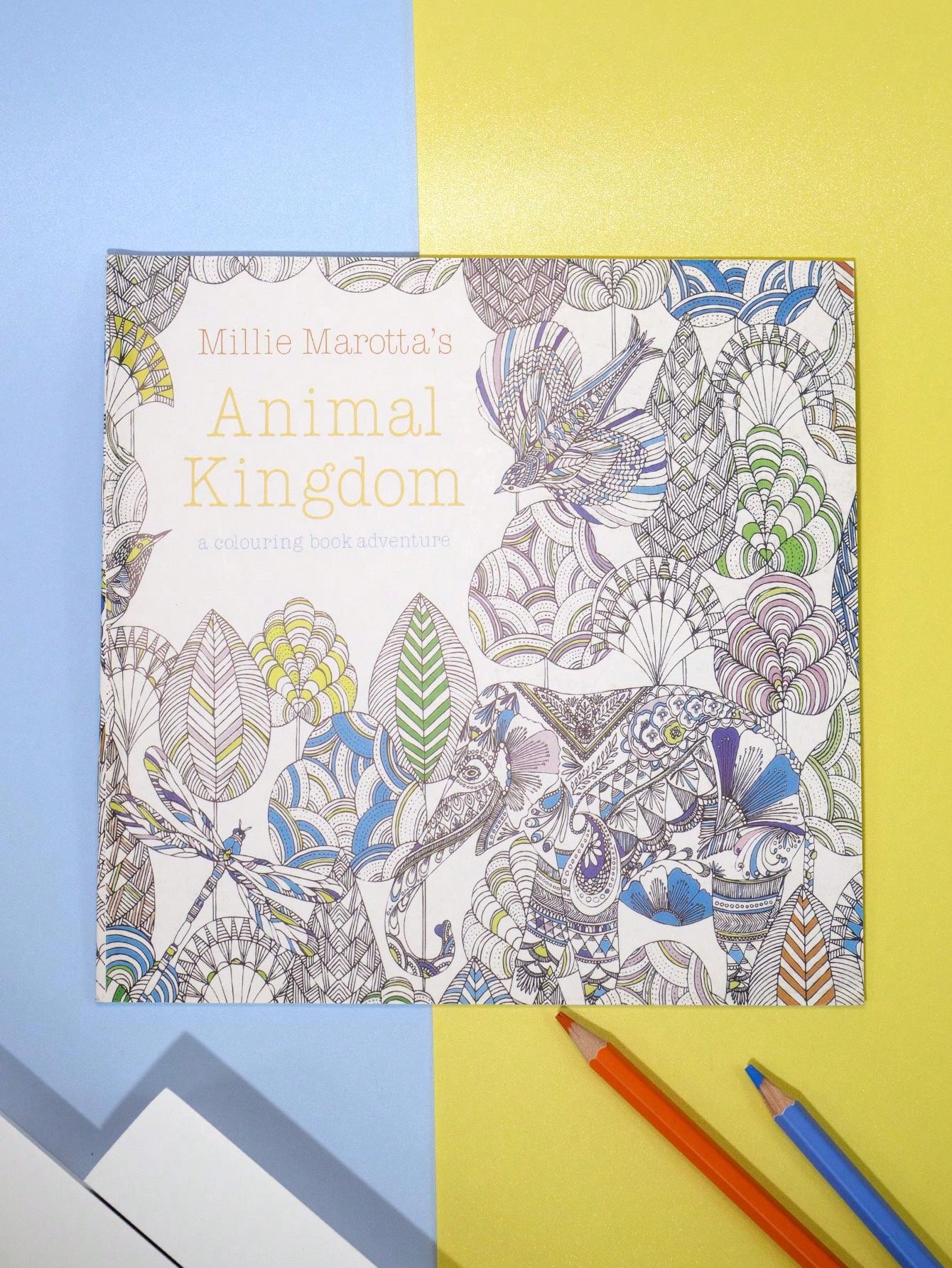 1 Set Of 2 Secret Garden Coloring Books For Kids To Relieve Stress ...