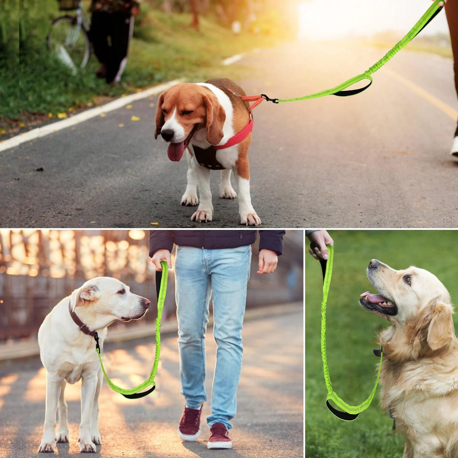 Bungee Dog Leash, Heavy Duty Dog Leash With Shock Absorption, 2 Padded ...