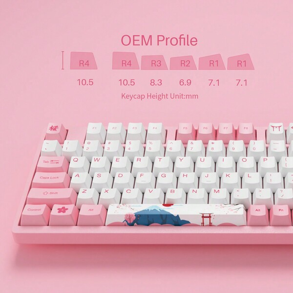 Akko World Tour-Tokyo R1 3098 1800 Compact Mechanical Keyboard, 98-Key ...