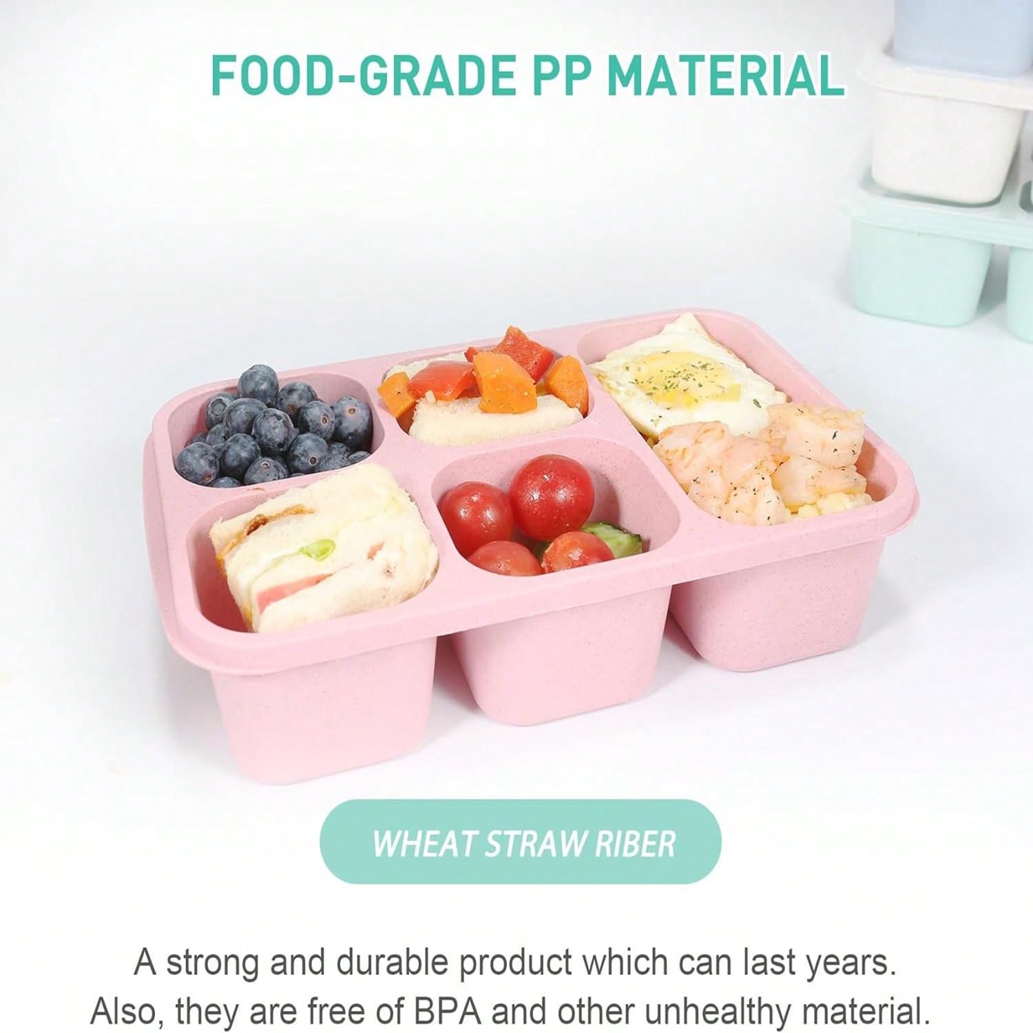 Multi-compartment Food Storage Box | SHEIN USA