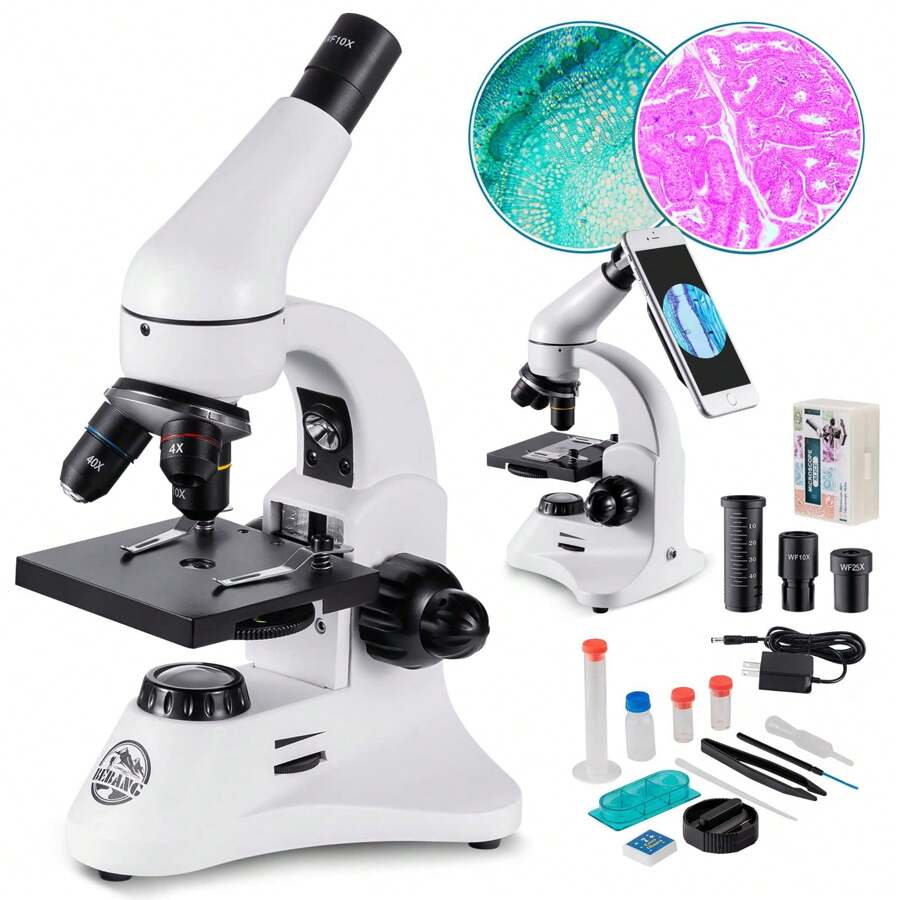 100X-2000X Microscope for Adults, Professional Biological Optical ...