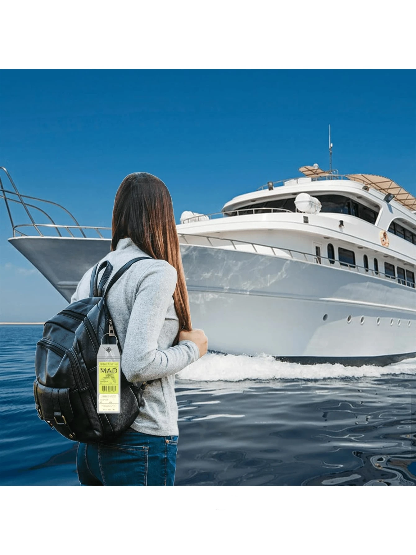 2pcs Cruise Luggage Tags, Waterproof Transparent Labels With Seal ...