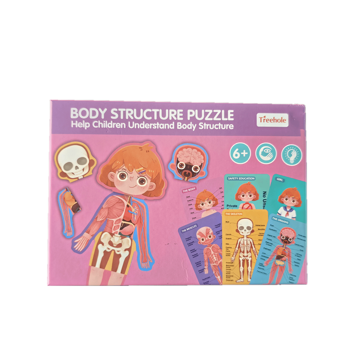A Pink Girl's Human Body Cognitive Body Structure Organ Puzzle Piece ...