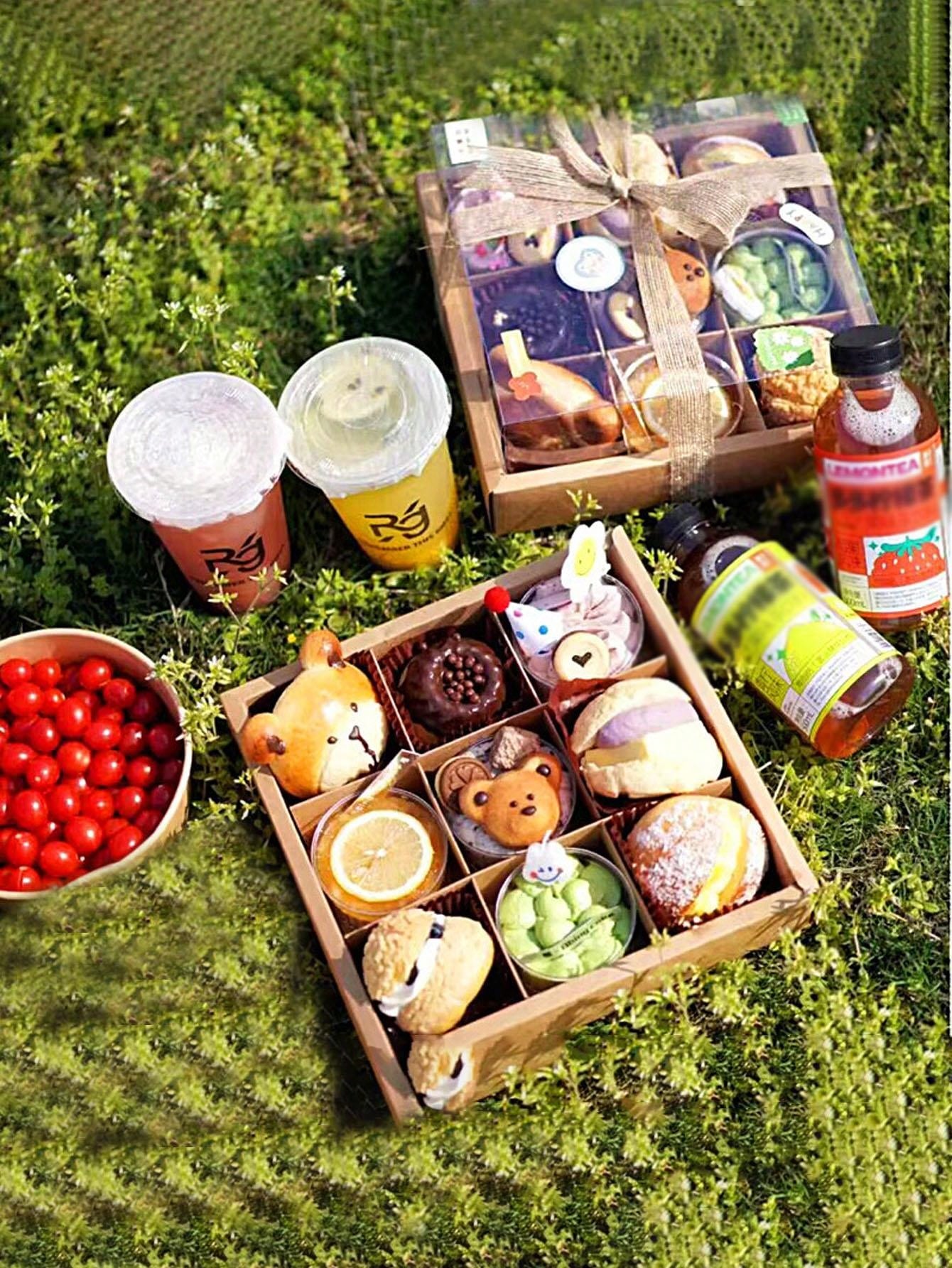 1pc Nine-grid Spring Picnic Camping Dessert Box, Disposable Clear Cake ...