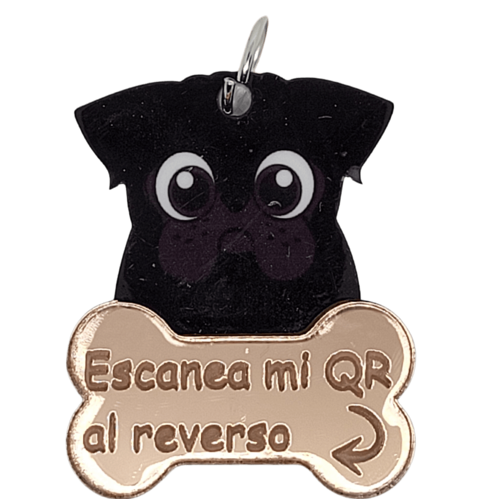 TQR BY FAKIRGEEK Placa DE IDENTIFICACIÓN Inteligente para Mascotas QR ...