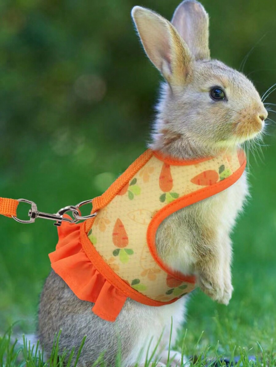 Vest-Style Leash For Small Dogs, Dutch Pigs, Cats, And Pet Rabbits ...