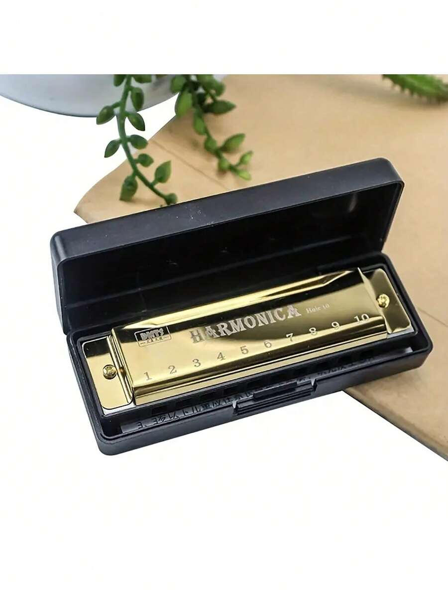 1pc Metal Diatonic 10-Hole Professional Blues Harmonica, Suitable For ...