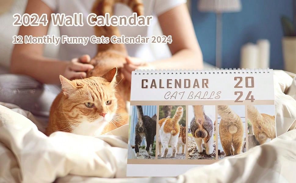 2024 Wall Calendar – 12 Monthly Funny Cats Calendar 2024, Jan 2024 ...