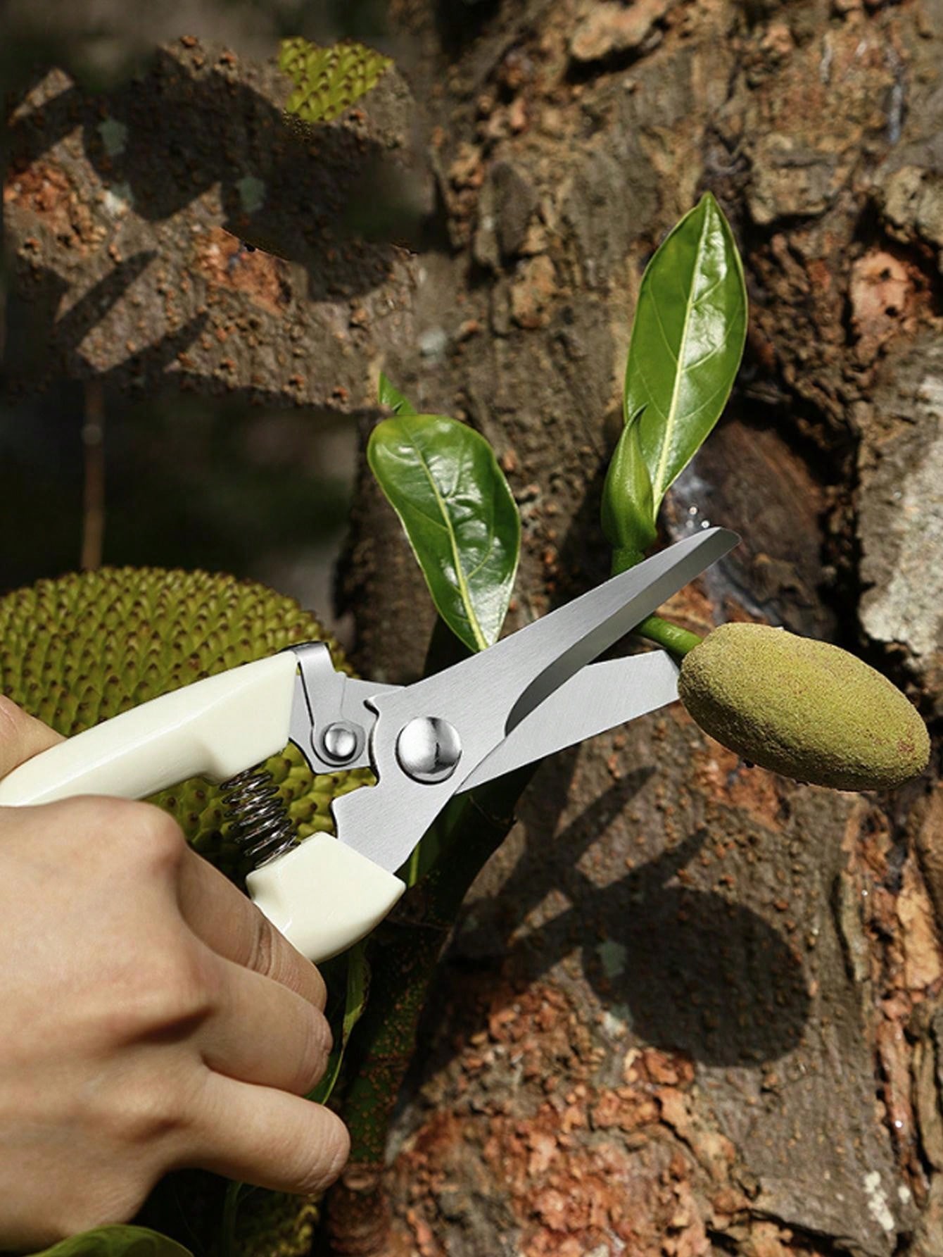 Complete Set Of Pruning Shears For Gardening - Floral/Gardening ...