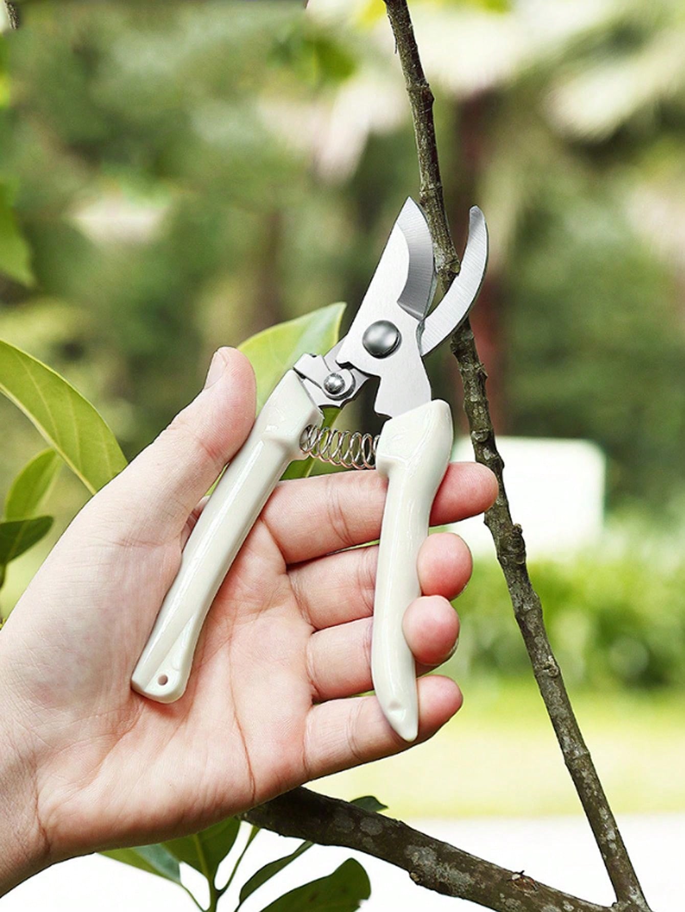 Complete Set Of Pruning Shears For Gardening - Floral/Gardening ...