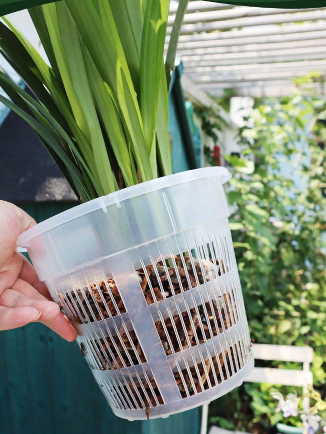 Plastic Orchid Pot With Root Control To Prevent Rotting, Breathable ...