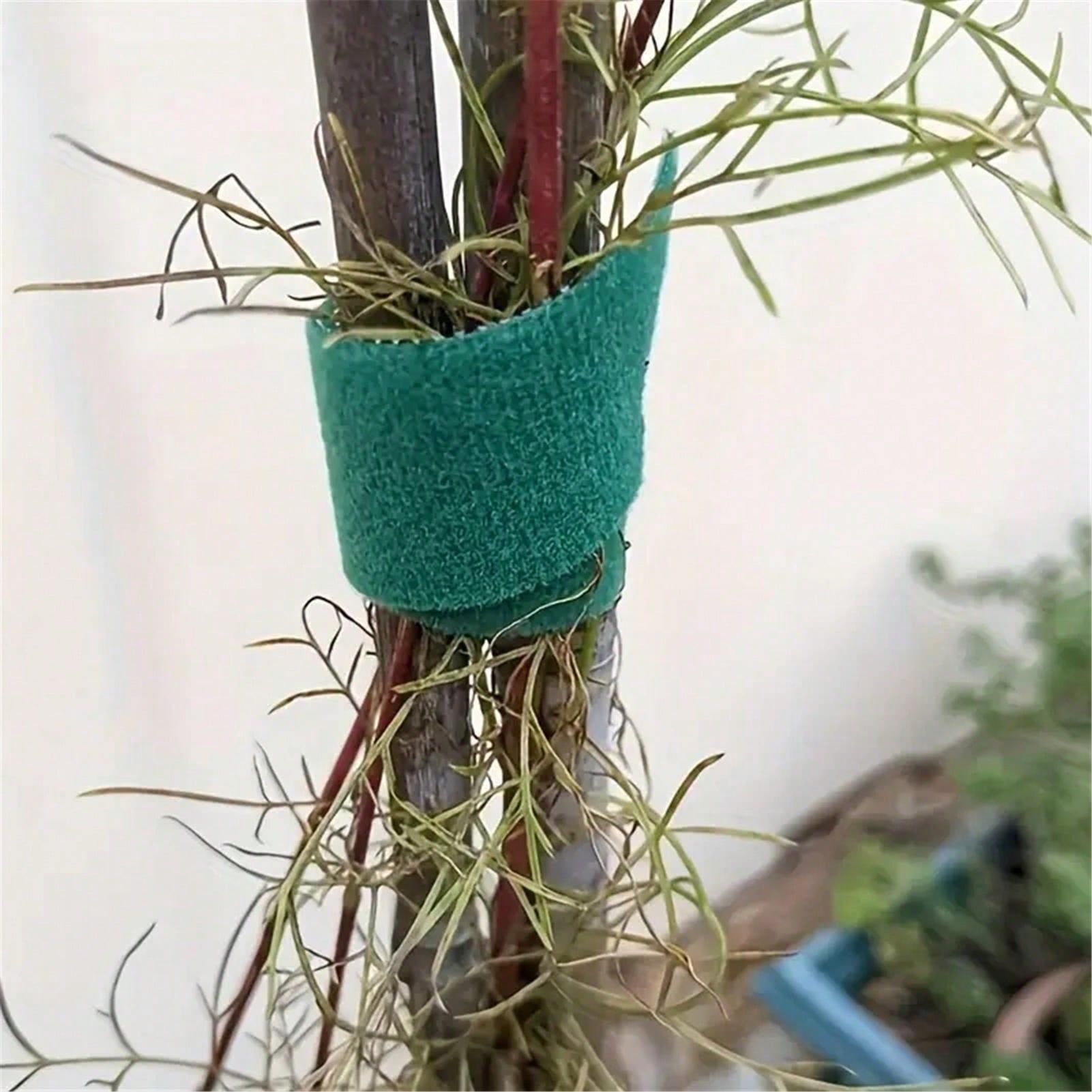 Cinta De Atar De Jardín, Soportes De Plantas, Correa De Cinta Mágica ...