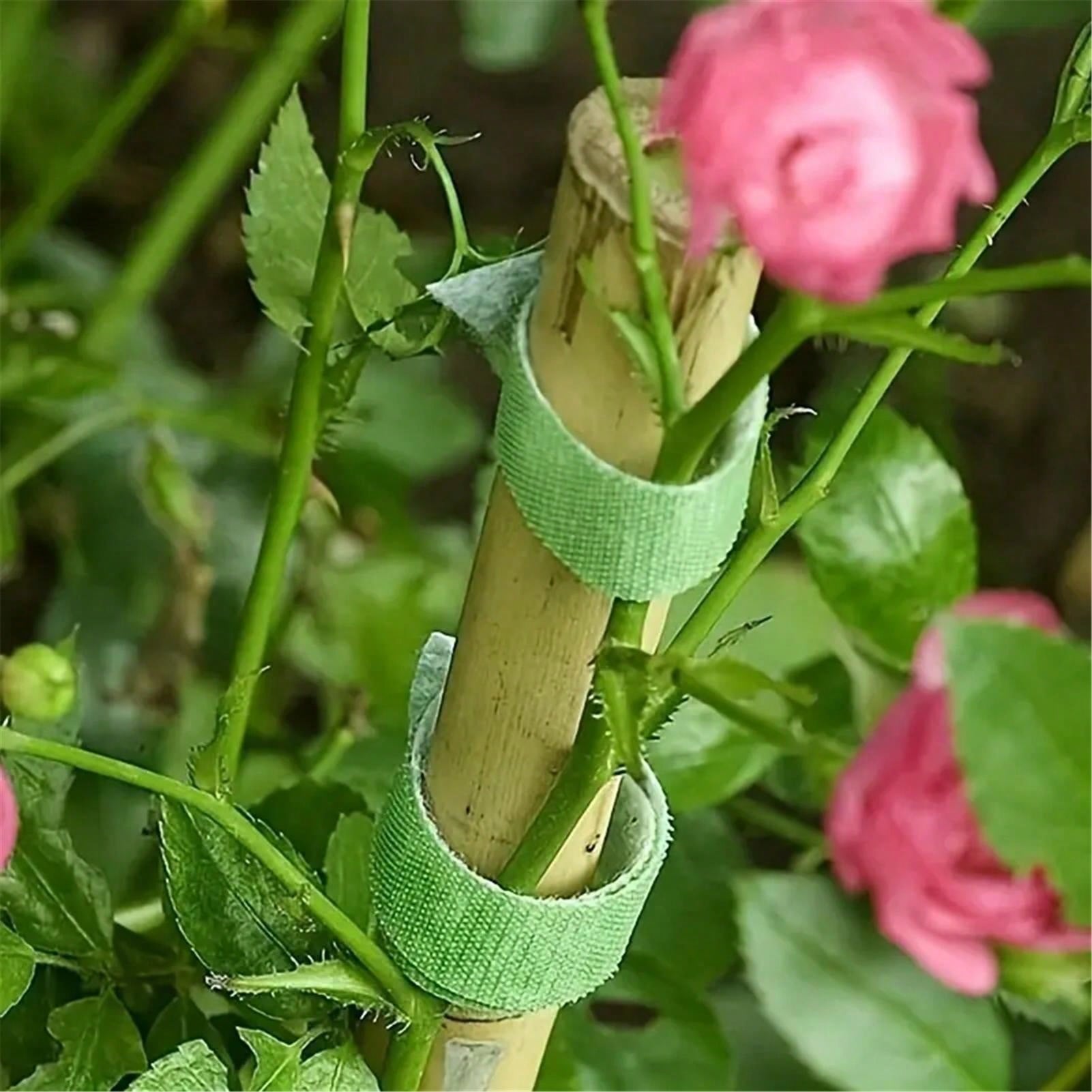 Cinta De Atar De Jardín, Soportes De Plantas, Correa De Cinta Mágica ...