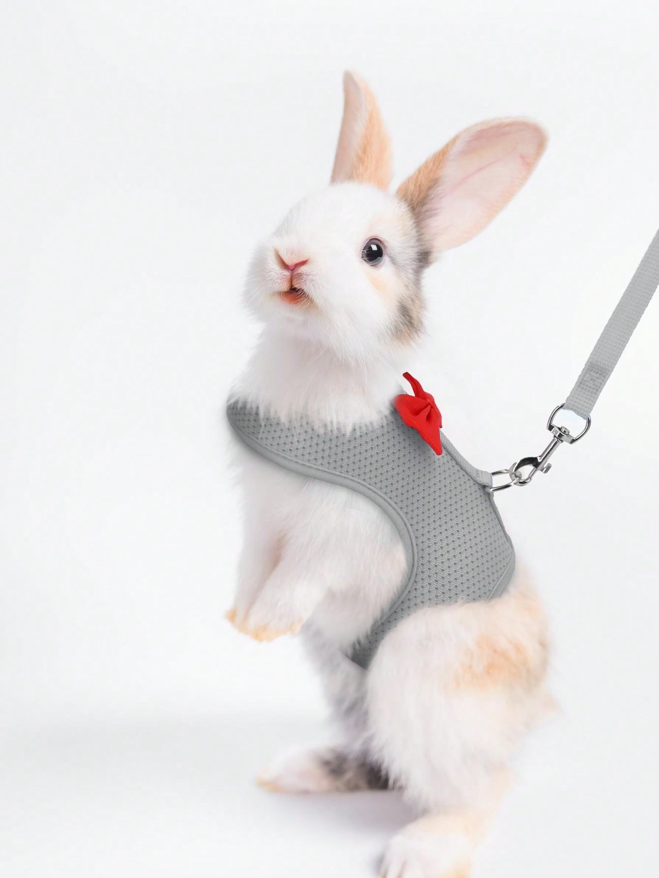 Ensemble De Harnais De Poitrine Et De Dos De Lapin Gris Avec Laisse | Mode en ligne | SHEIN FRANCE