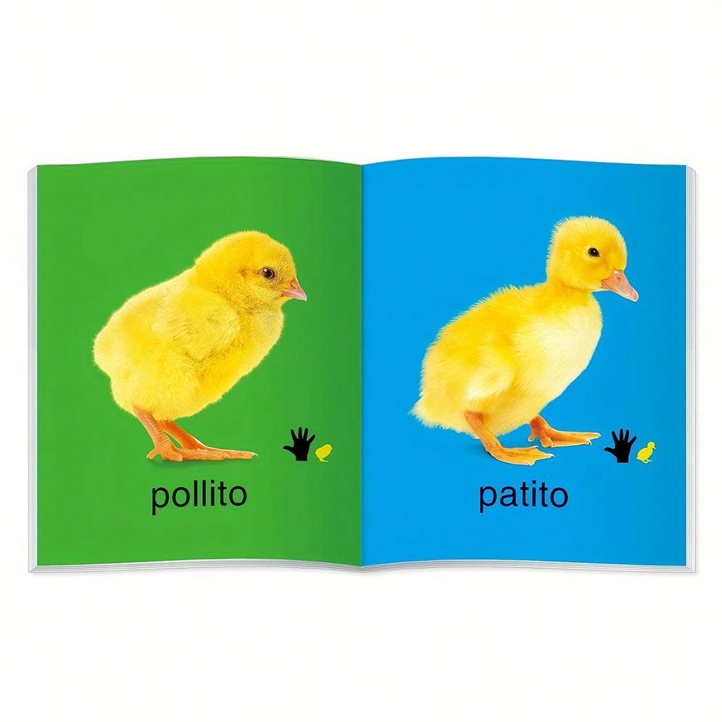 1 Set/10pcs My First Book Series In Spanish - Irresistible Children's ...