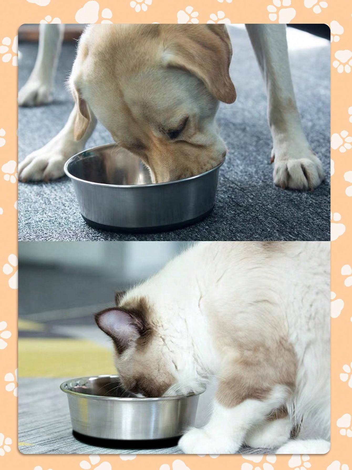 Stainless Steel Pet Bowls Pet Bottom Non-Slip Not Easy To Knock Over ...
