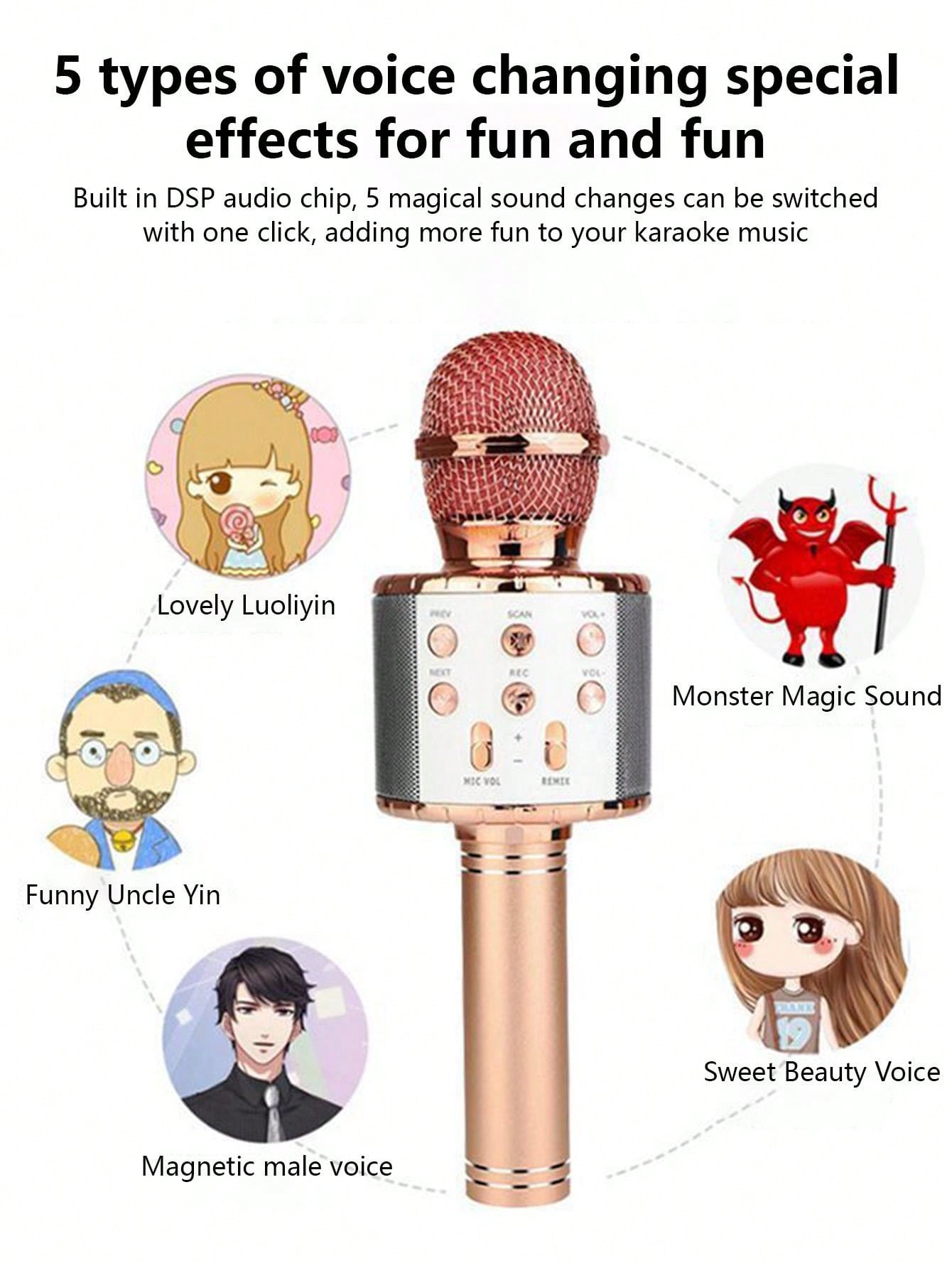 Wireless Microphone, Microphone & Speaker Combo, Multi-functional ...