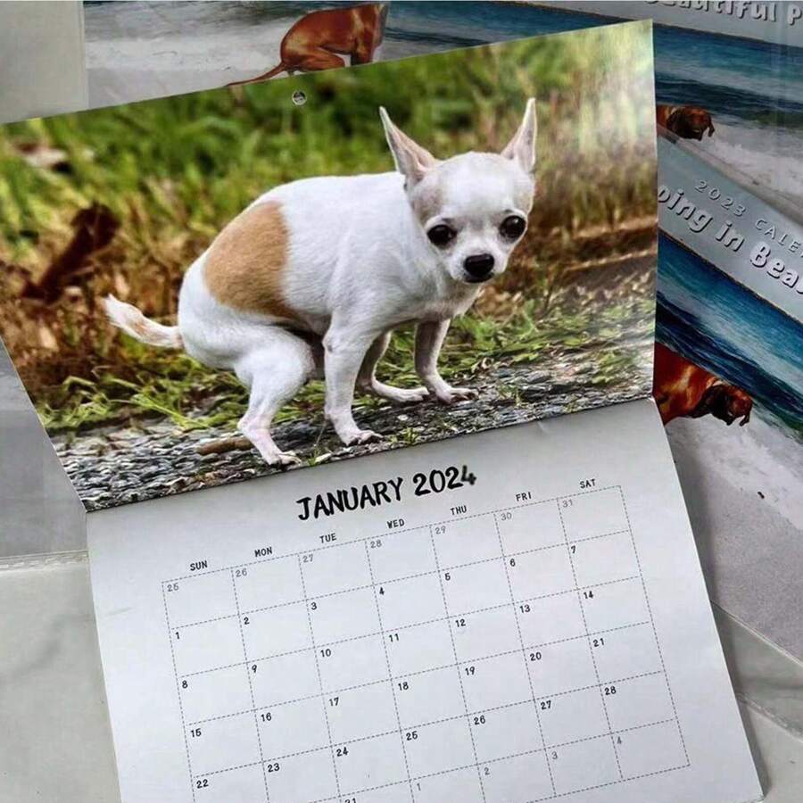 Dog Poop Calendar 2024, Funny Dog Calendar, Dogs Pooping In Beautiful ...