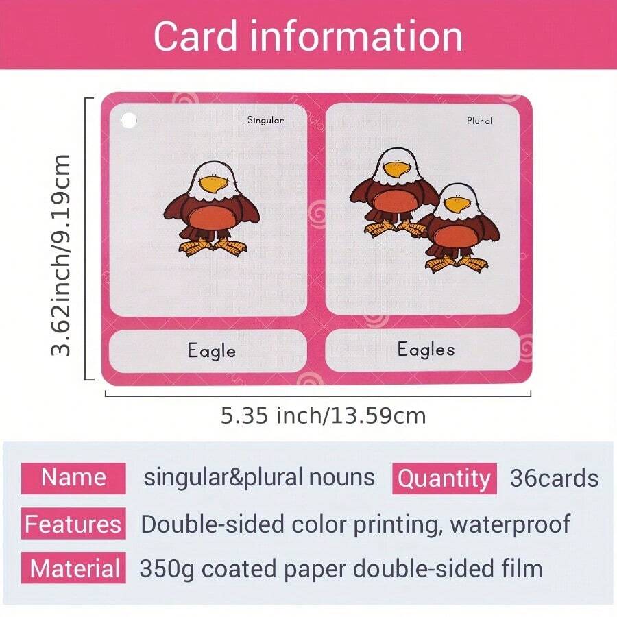 78 Groups of Singular and Plural Nouns English Grammar Learning Flash ...