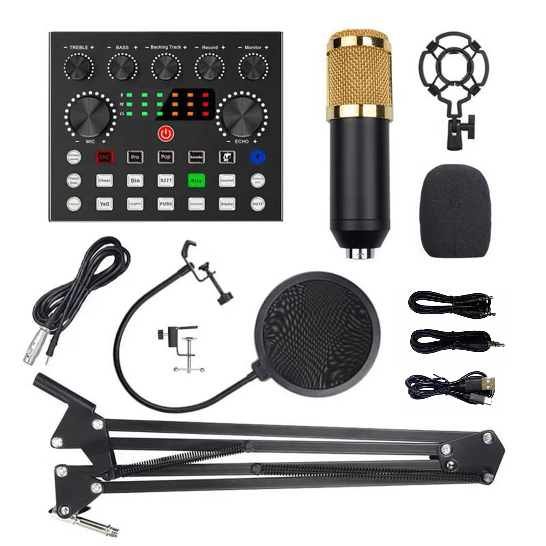 Professional Microphone Sound Card Kit with Condenser Microphone and ...
