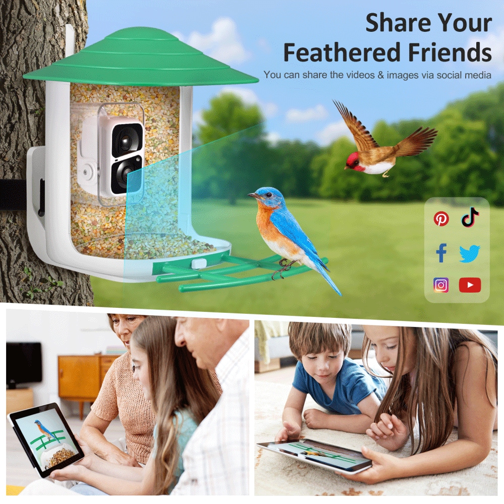 Bird Feeder with Camera 1080P, 5200mAH Solar Bird Watching Camera, Auto ...