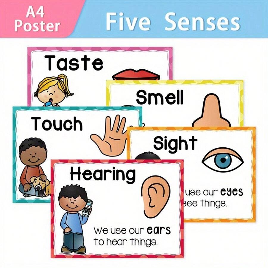 5 Pcs/set Five Senses Posters Classroom Decoration Organization Decor ...