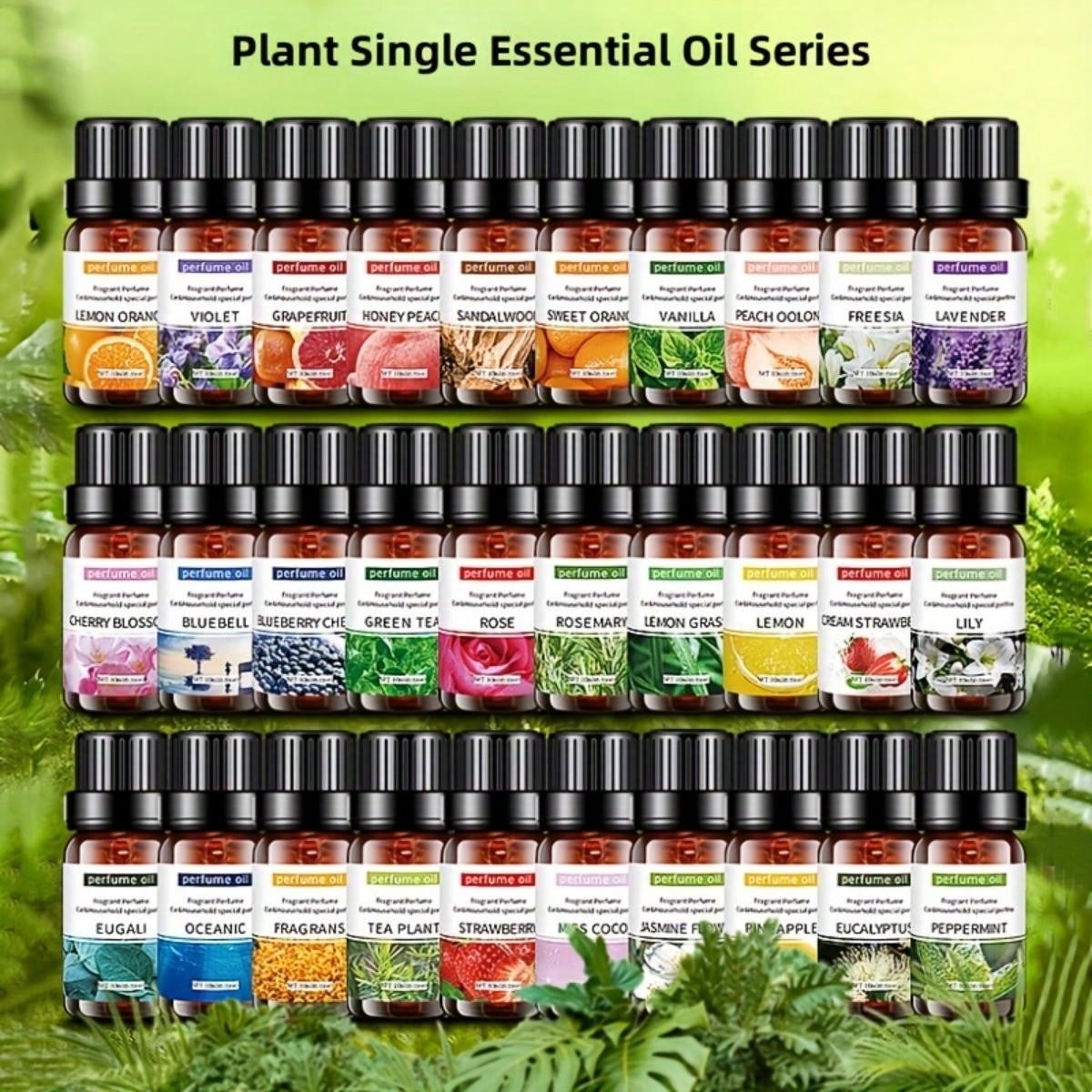 1 Pièce Set D'huiles Essentielles Solubles Dans L'eau 10 Ml /0.33fl.oz, Chaque Huile Est ...