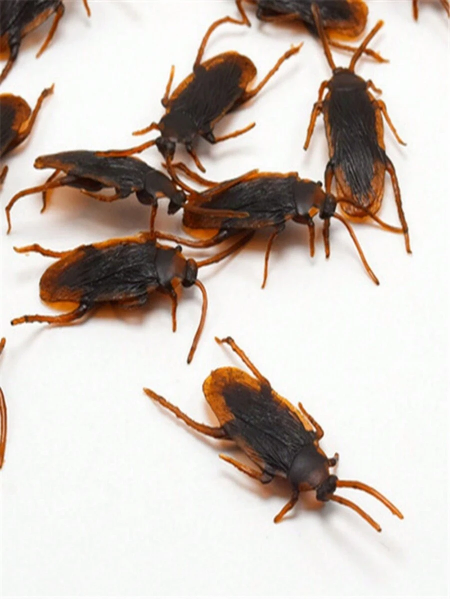 20Pcs Prank Fake Roaches, Novelty Plastic Cockroach, Favorite Trick ...