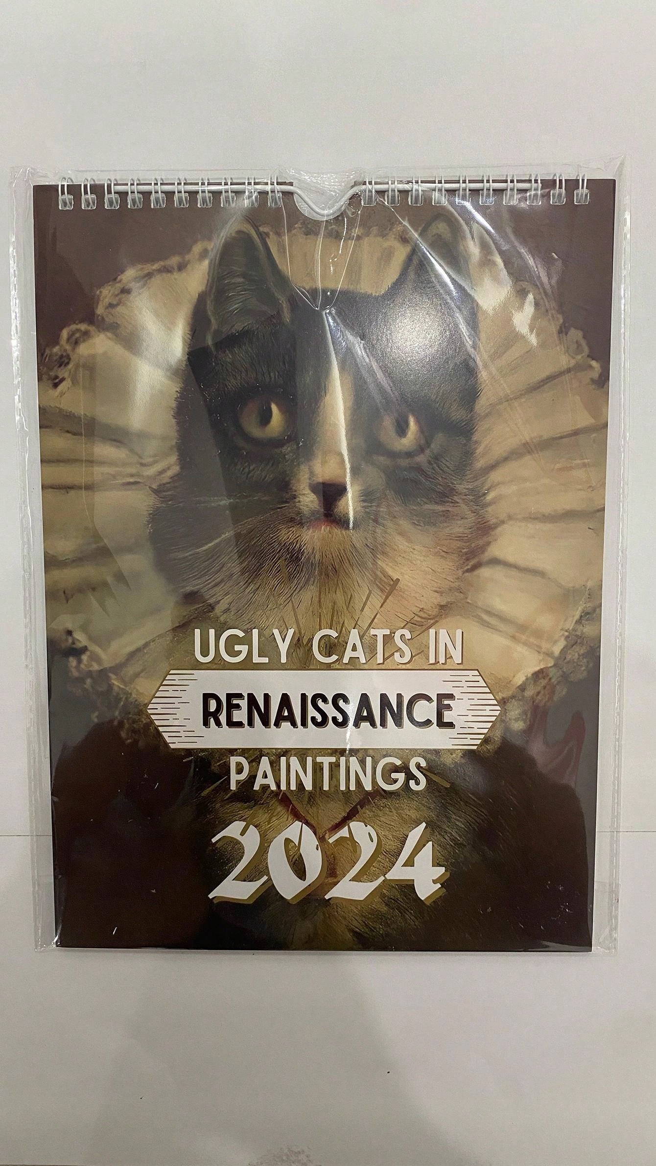 In My 2021 Era Calendar: Dancing Girl Calendar & 2024 Touring Calendar ...