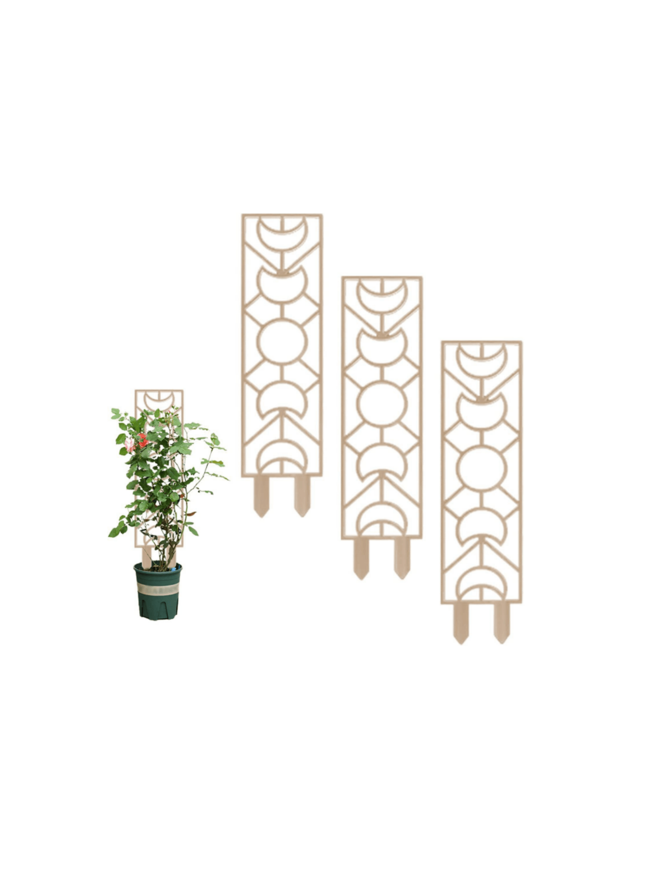 Wooden Moon Shaped Plant Climbing Frame, Creative Plant Climbing Vines ...