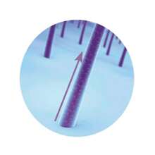 Kit Eudora Acelera Crescimento Dos Cabelos 2 Shampoo 2 Cond. ORIGINAL ...