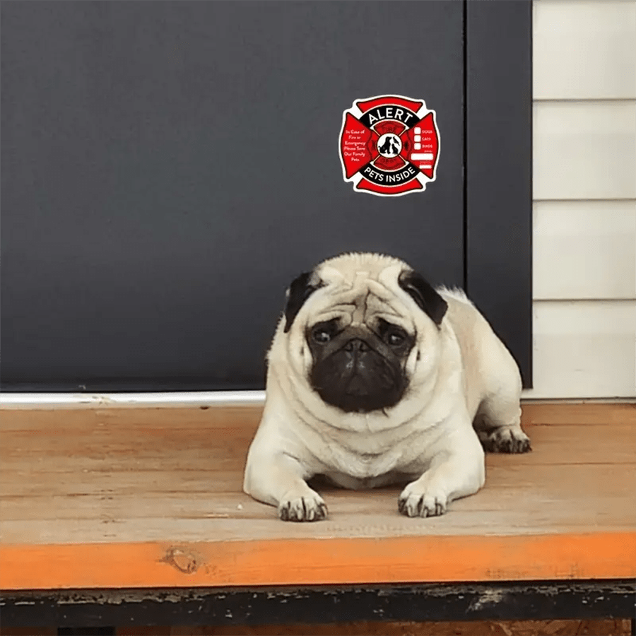 Calcomanía De Advertencia De Seguridad Para Mascotas: 8 Piezas De ...